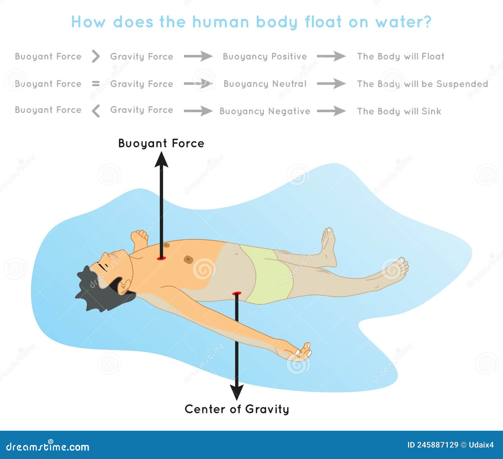 How Does Human Body Float on Water Infographic Diagram Stock Vector ... How Does Human Body Float on Water Infographic Diagram Stock Vector ...