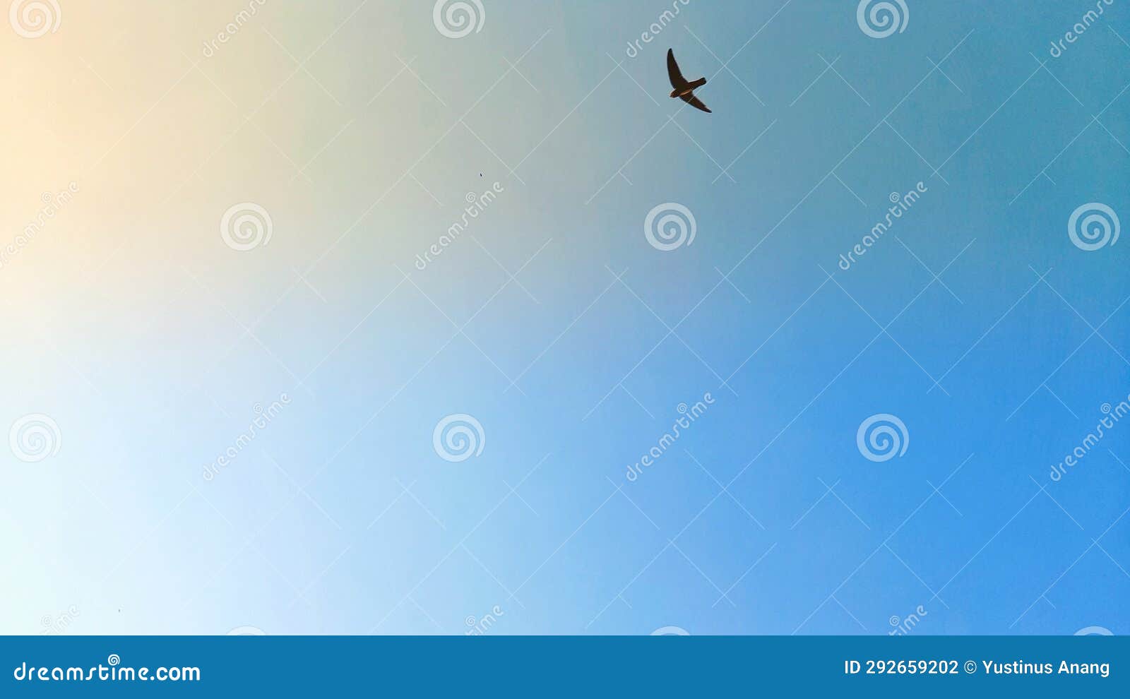 How Happy it is for a Bird To Fly Freely through the White Clouds in ...