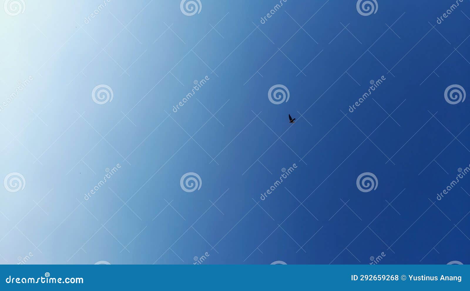 How Happy it is for a Bird To Fly Freely through the White Clouds in ...