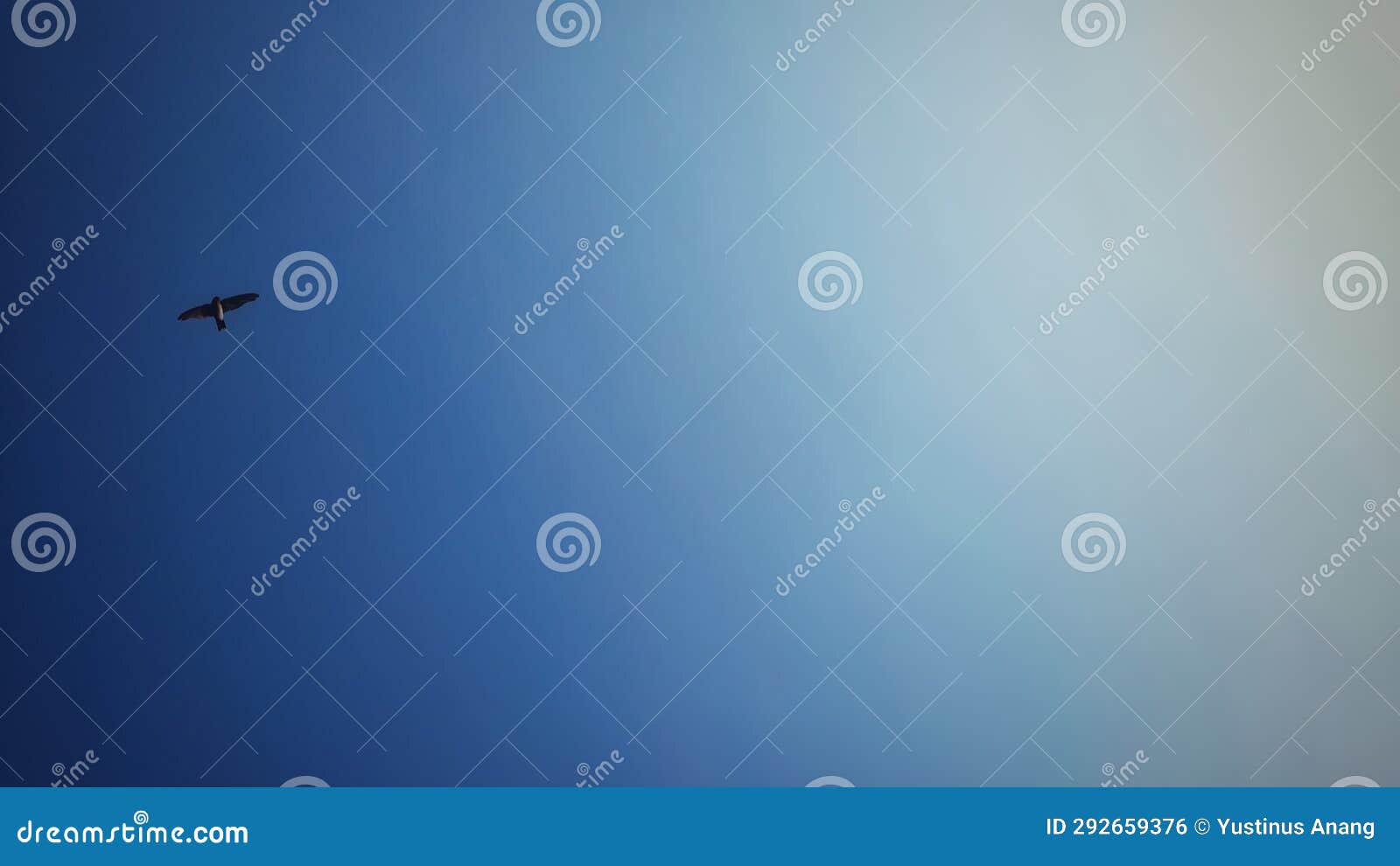 How Happy it is for a Bird To Fly Freely through the White Clouds in ...