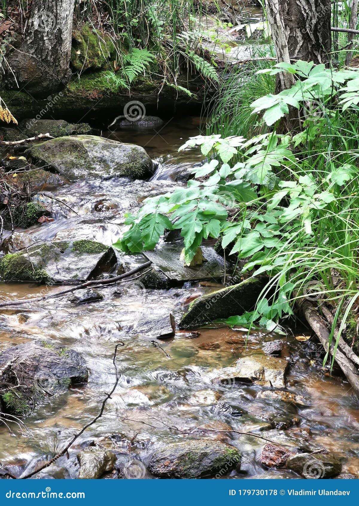 How a mountain stream runs stock photo. Image of water - 179730178