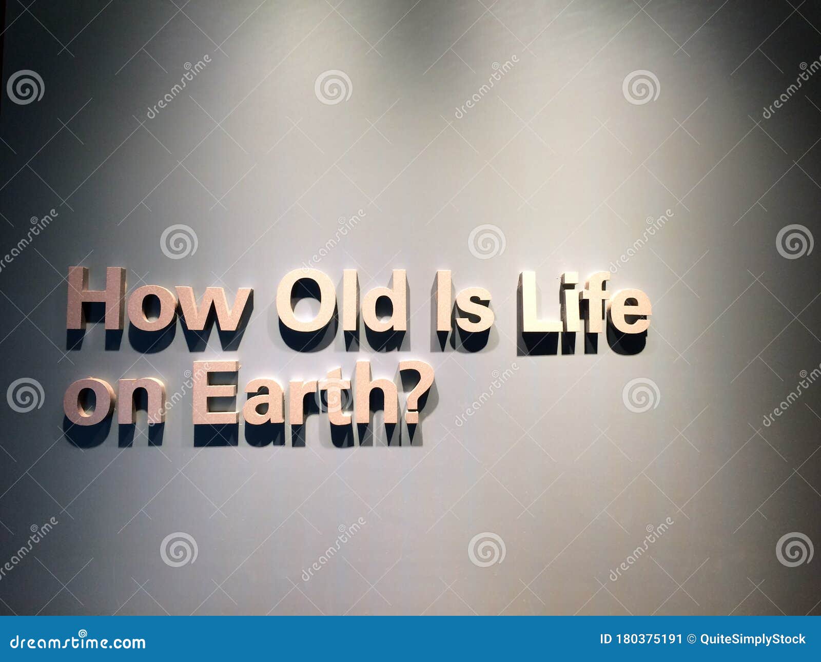 How old is the earth sign stock image. Image of museum - 180375191