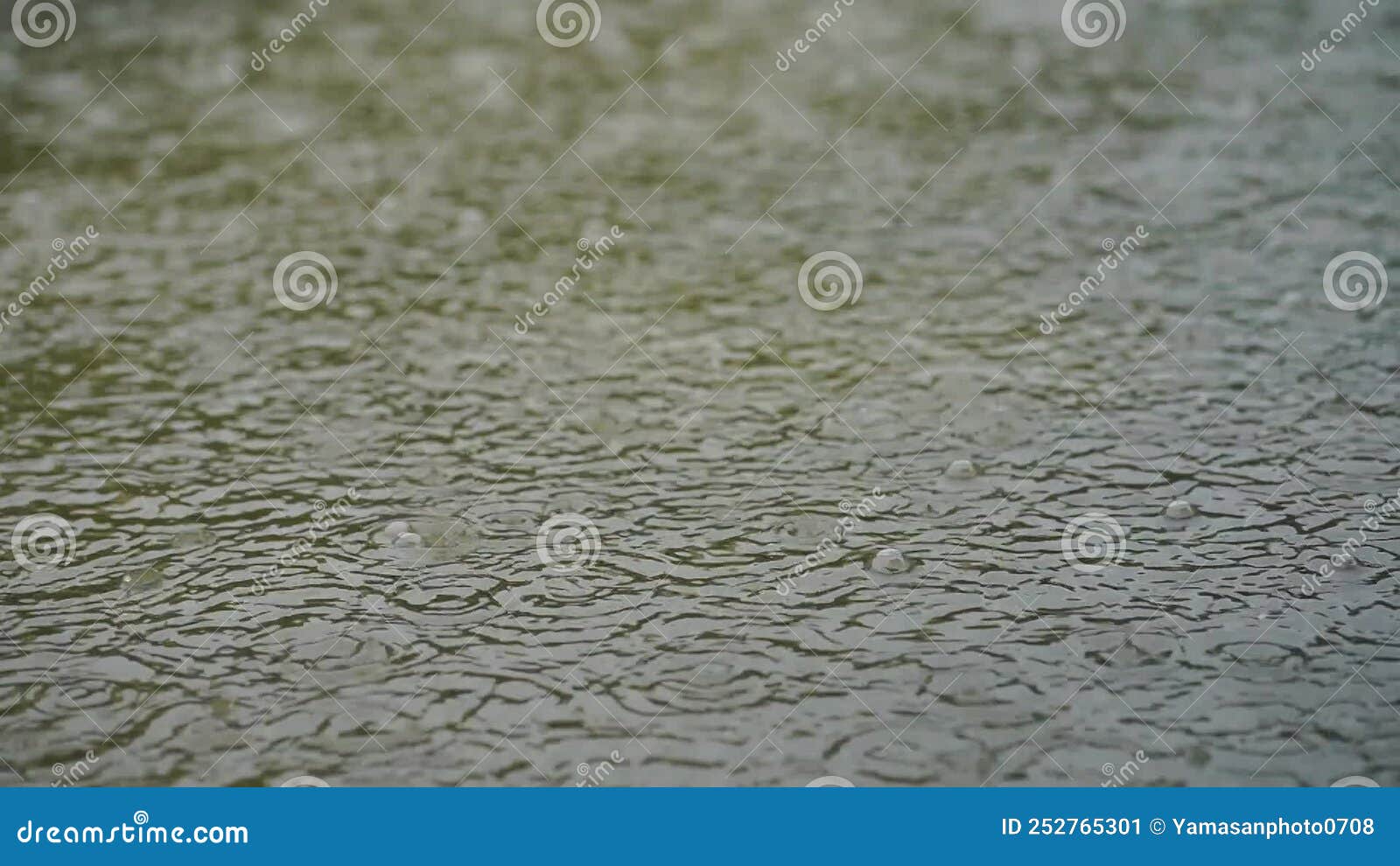 How it rains stock video. Video of nature, drop, outdoor - 252765301