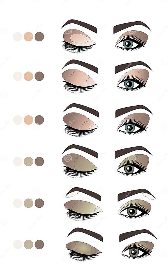 How To Apply Eyeshadow, Guide, Diagram, Vector Illustration Stock ...