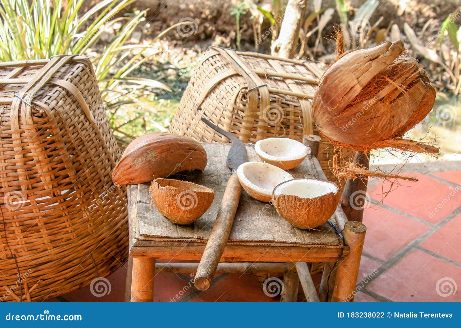 How to break a coconut stock photo. Image of break, nutrition - 183238022