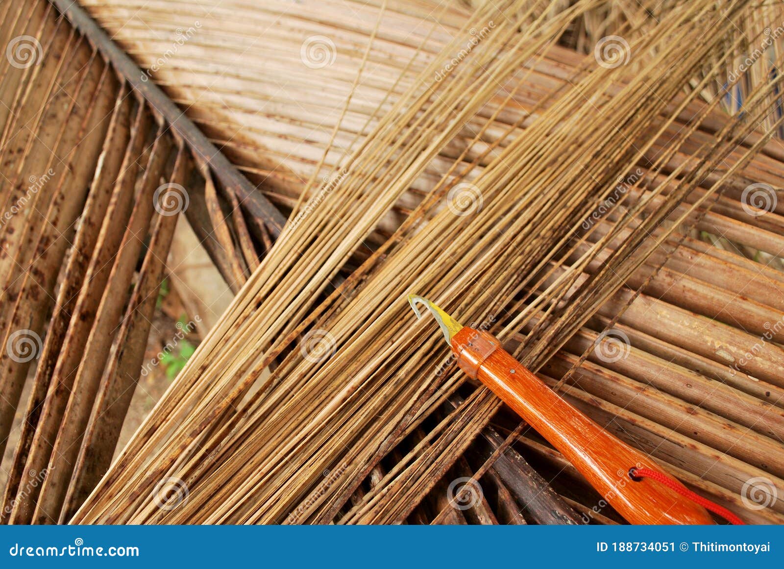 Knife for Blocking Coconut Leaves. Stock Image - Image of handcraft ...