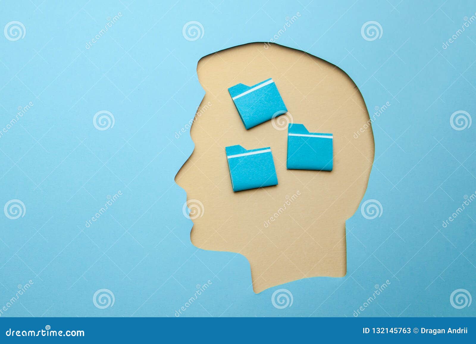 How To Develop Memory. How To Properly Organize Information in My Head ...