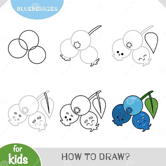 How To Draw Blueberries for Children. Step by Step Drawing Tutorial ...