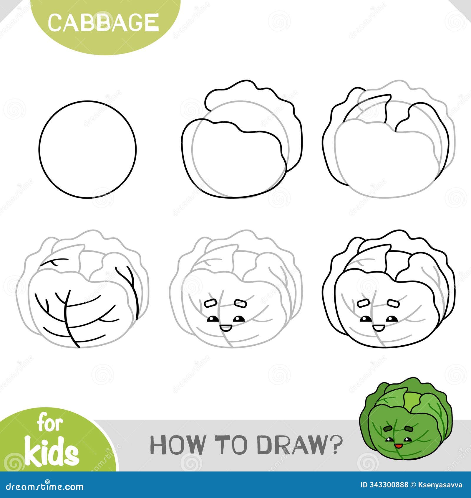How To Draw Cabbage For Children. Step By Step Drawing Tutorial Vector ...