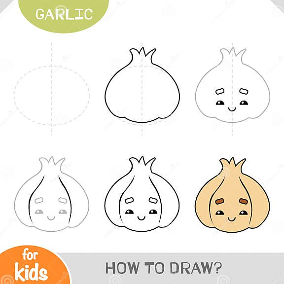 How To Draw Garlic for Children. Step by Step Drawing Tutorial Stock ...