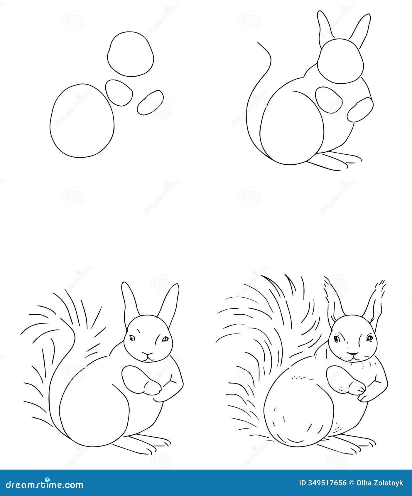 How To Draw a Squirrel with a Pencil. Stock Illustration - Illustration ...