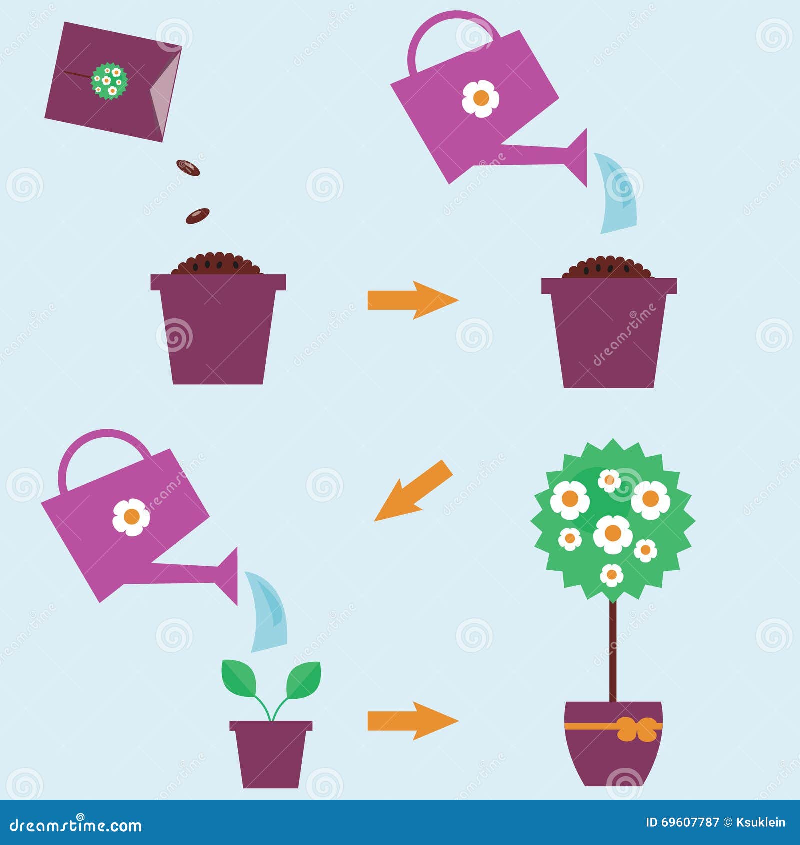 Instructions On How To Plant Flower In Six Steps. Step By Step Cartoon ...