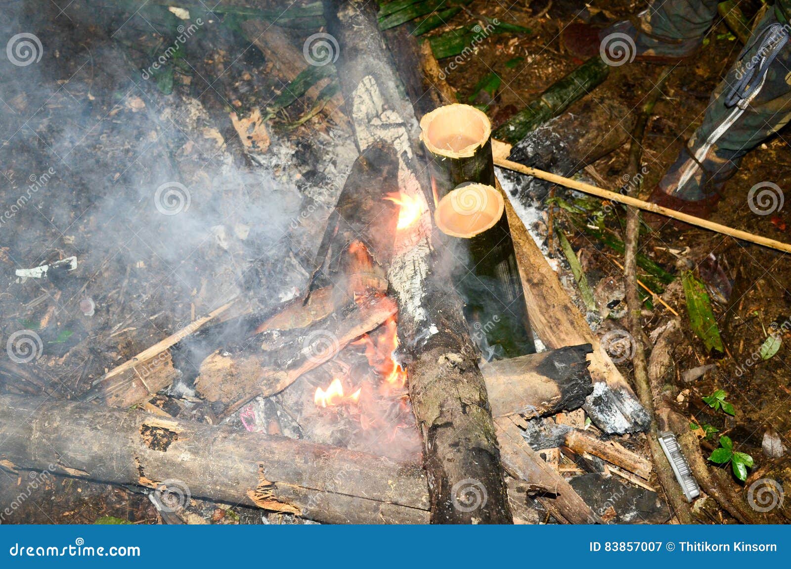 How To Live in the Forests and Livelihoods. Stock Image - Image of live ...