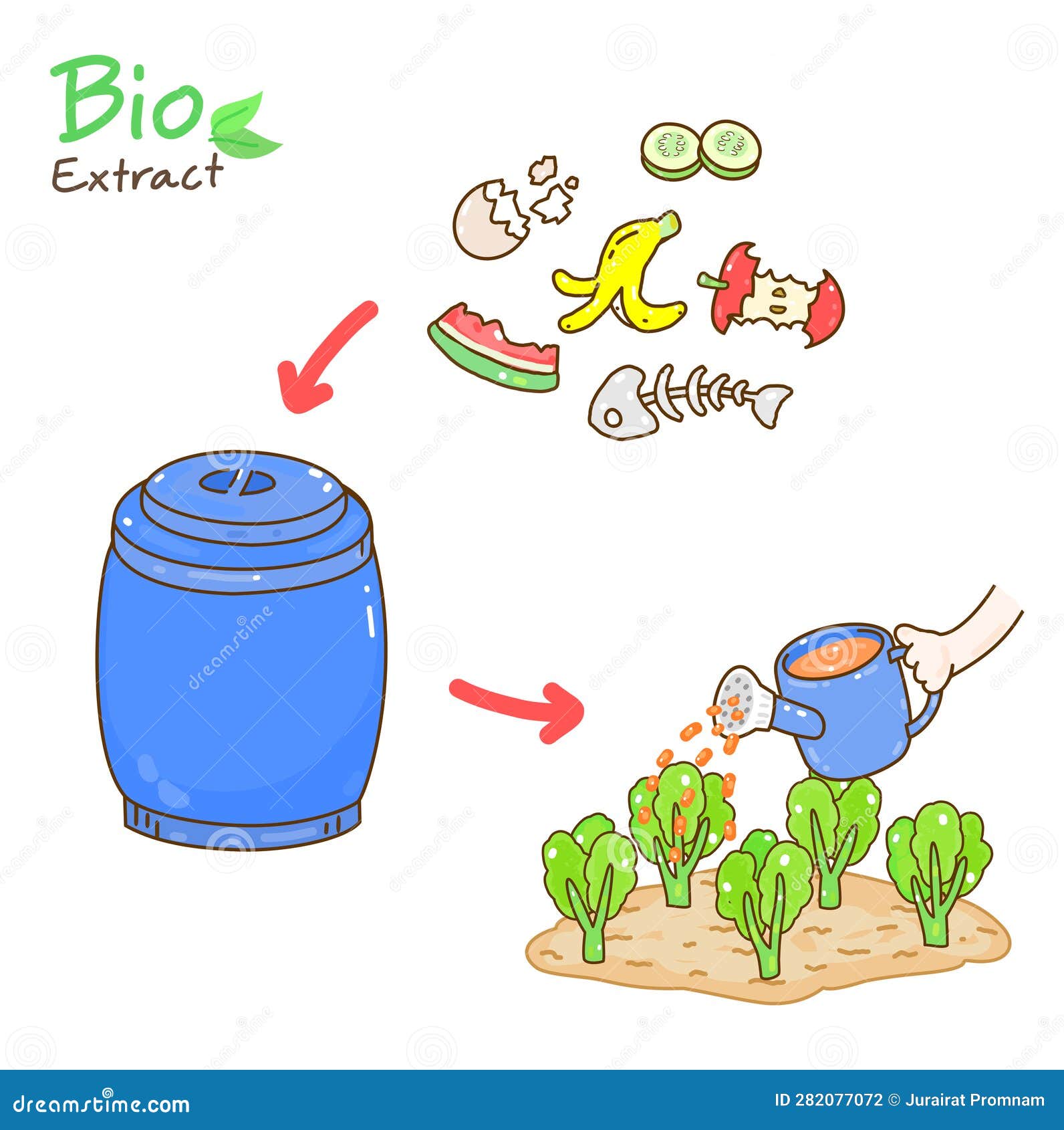 How To Make Bio-Fermented Water. Stock Illustration - Illustration of ...