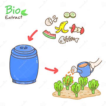 How To Make Bio-Fermented Water. Stock Illustration - Illustration of ...