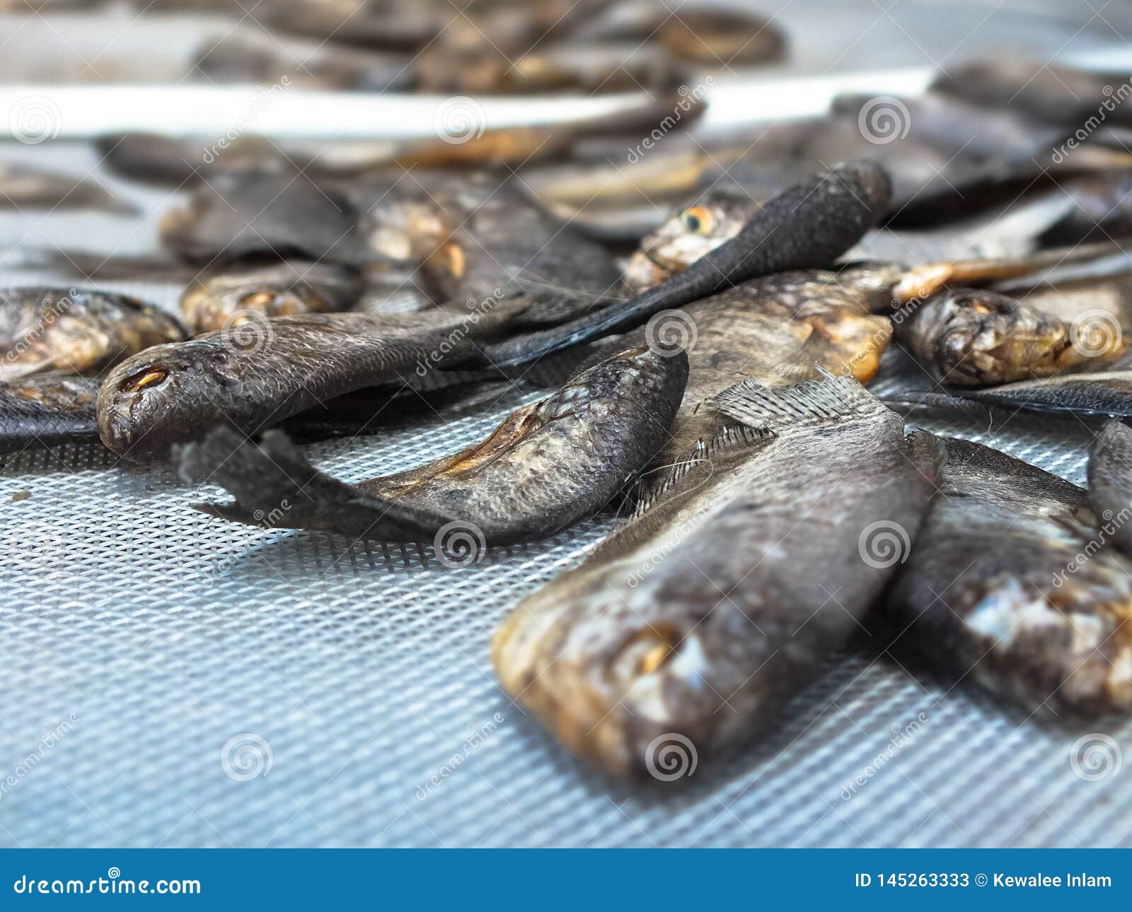 Dried fish stock image. Image of dried, animal, food - 145263333