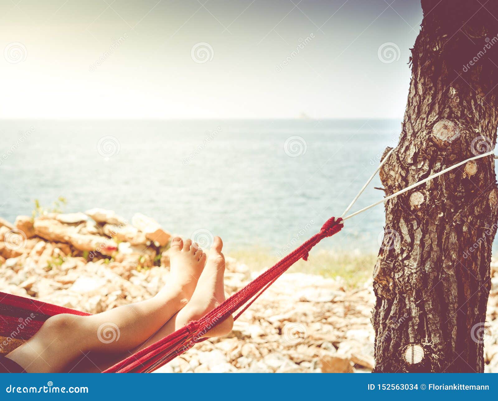 How to relax in hammock stock photo. Image of chair - 152563034