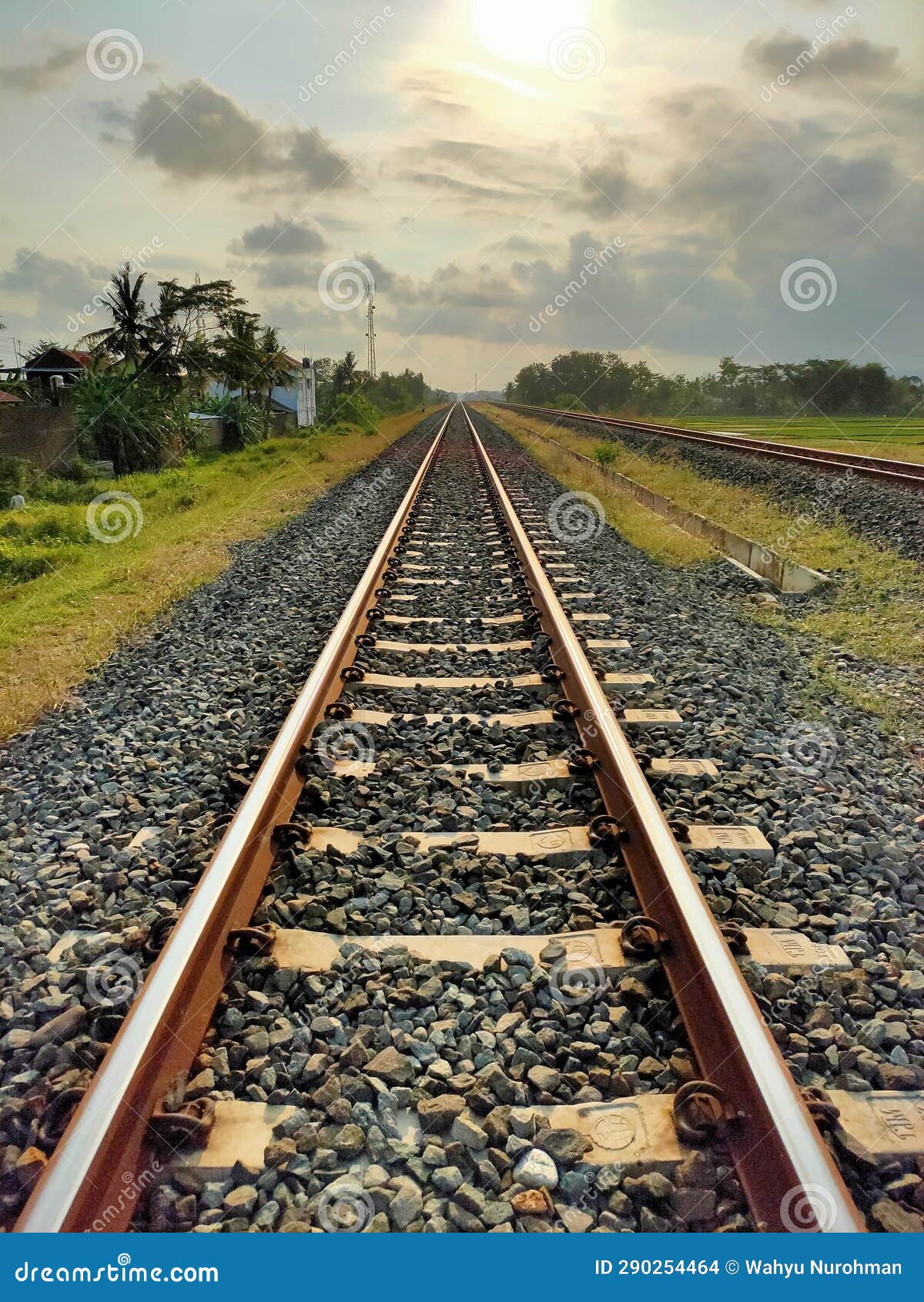 How the train walk stock photo. Image of rail, central - 290254464
