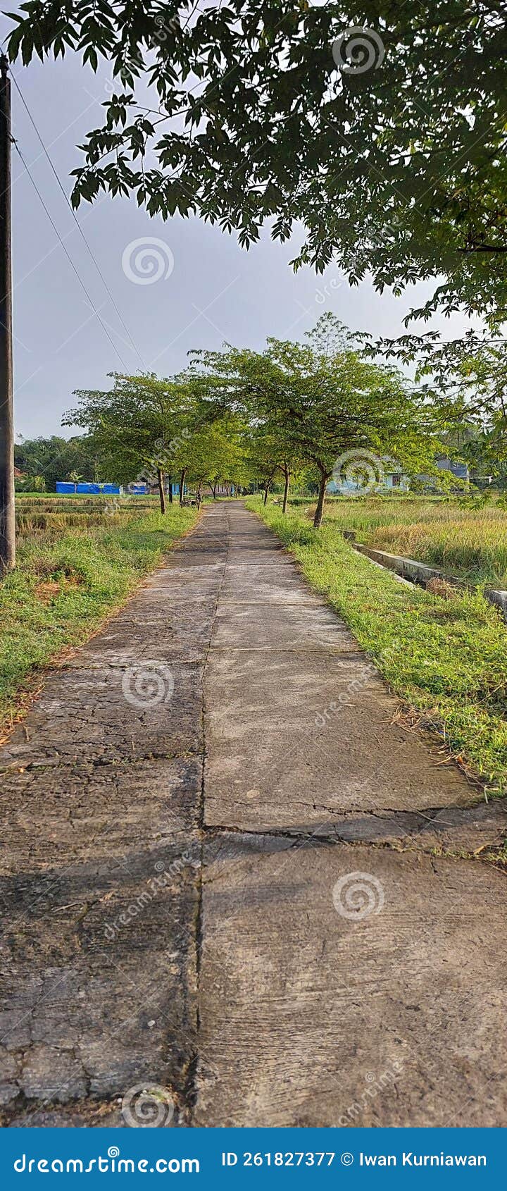 Java Village road stock image. Image of nature, village - 261827377