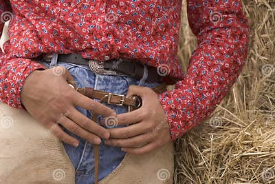Howdy Partner stock photo. Image of paisley, pose, west - 460102