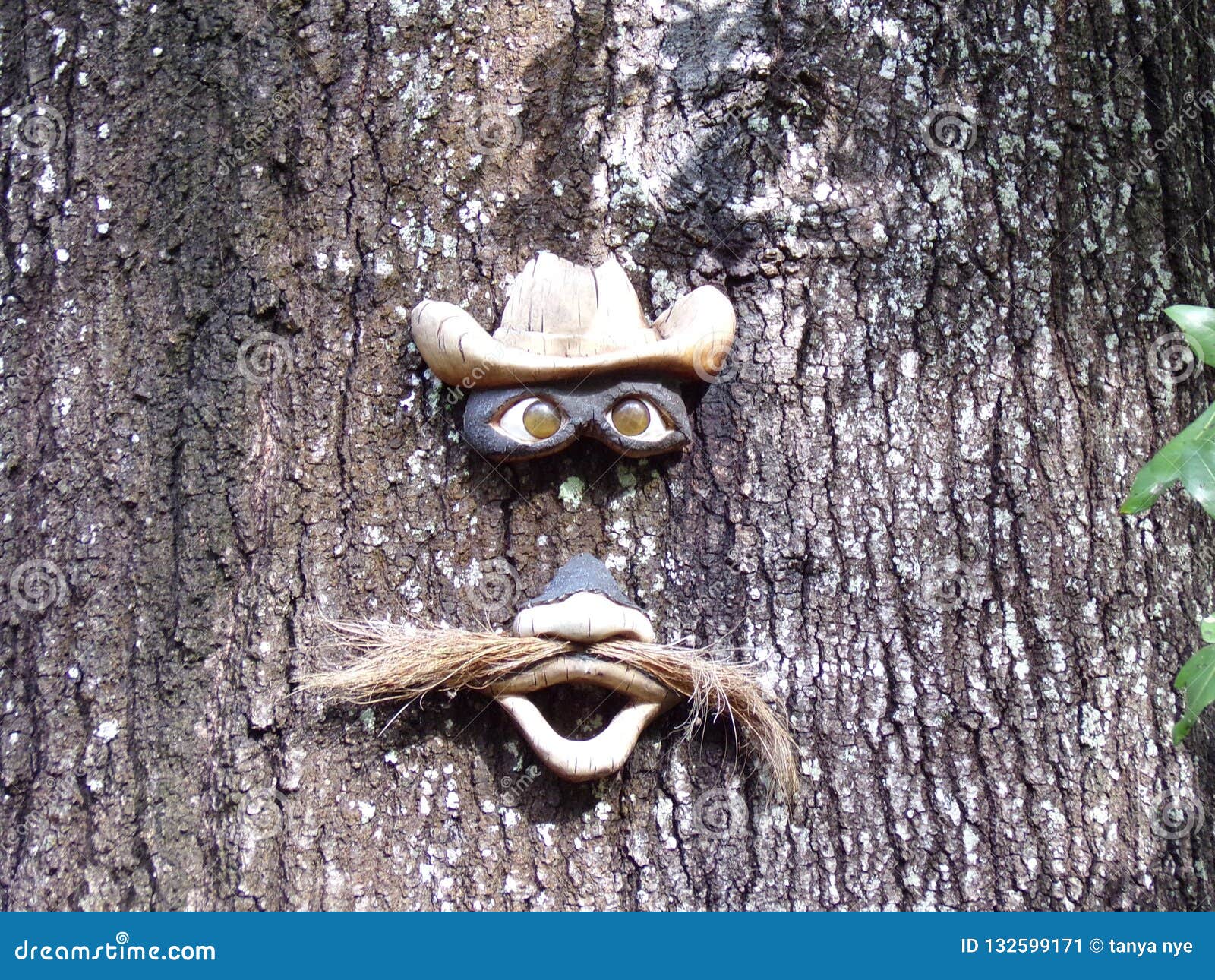 Howdy Partner stock image. Image of howdy, cowboy, tree - 132599171