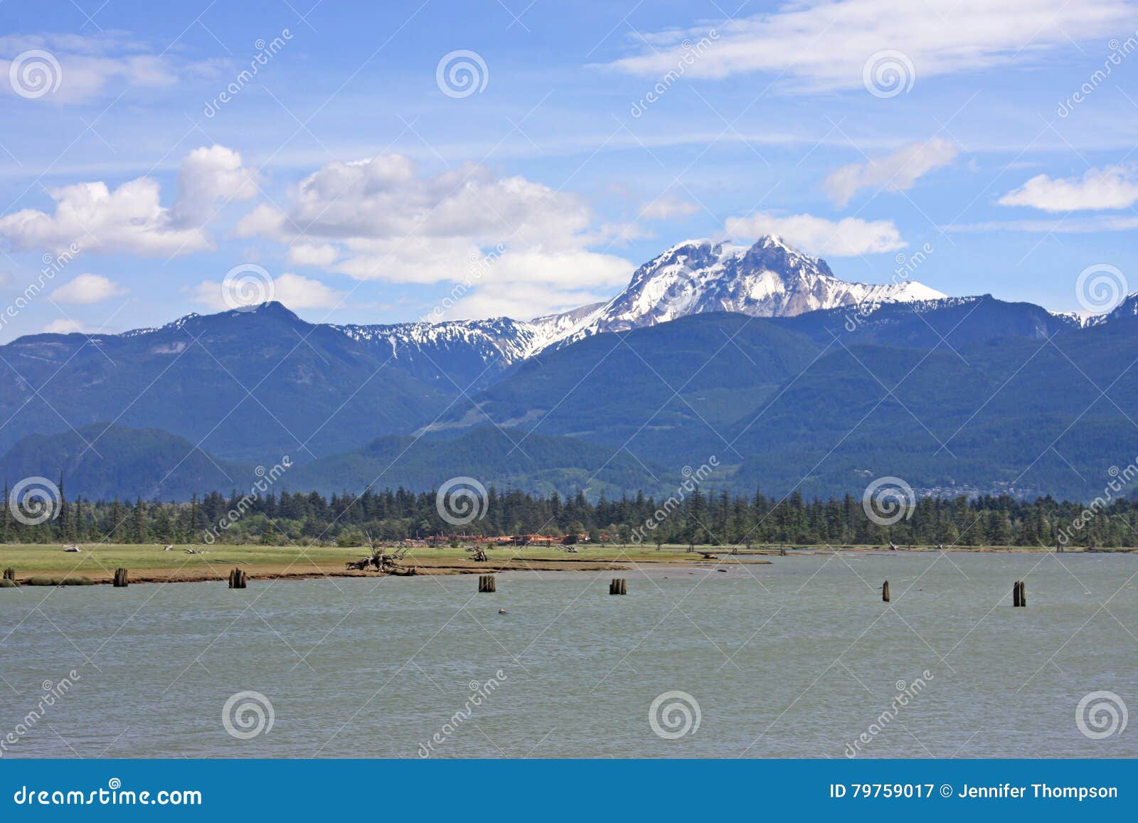 Howe Sound, Squamish stock image. Image of pine, water - 79759017