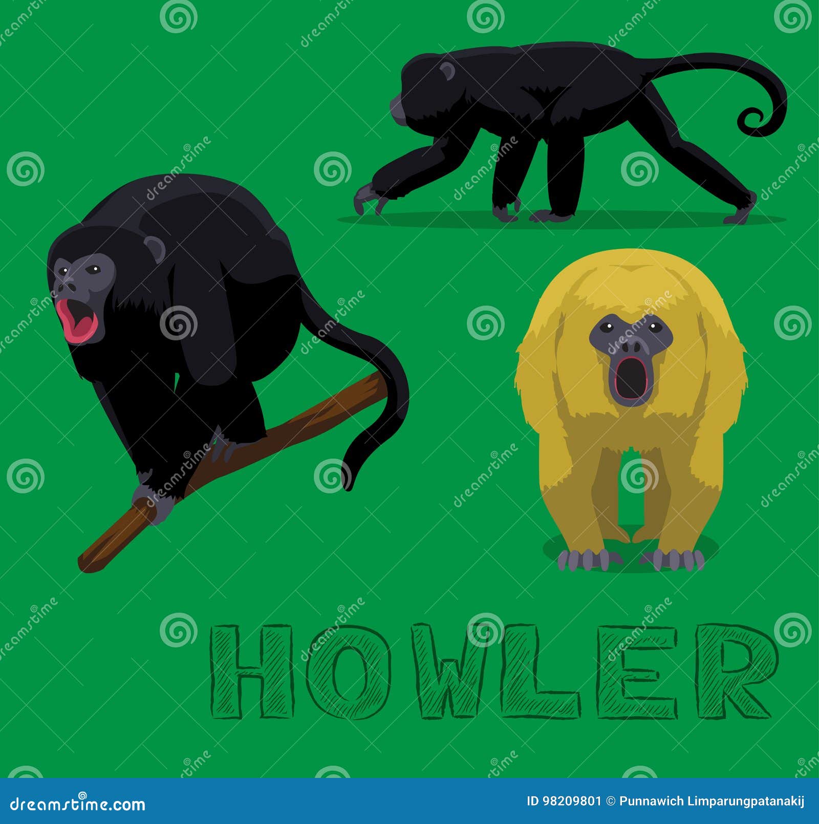 Animal Howler Monkey, Parrot, Araguato Or Caraya Alouatta That Lives In ...