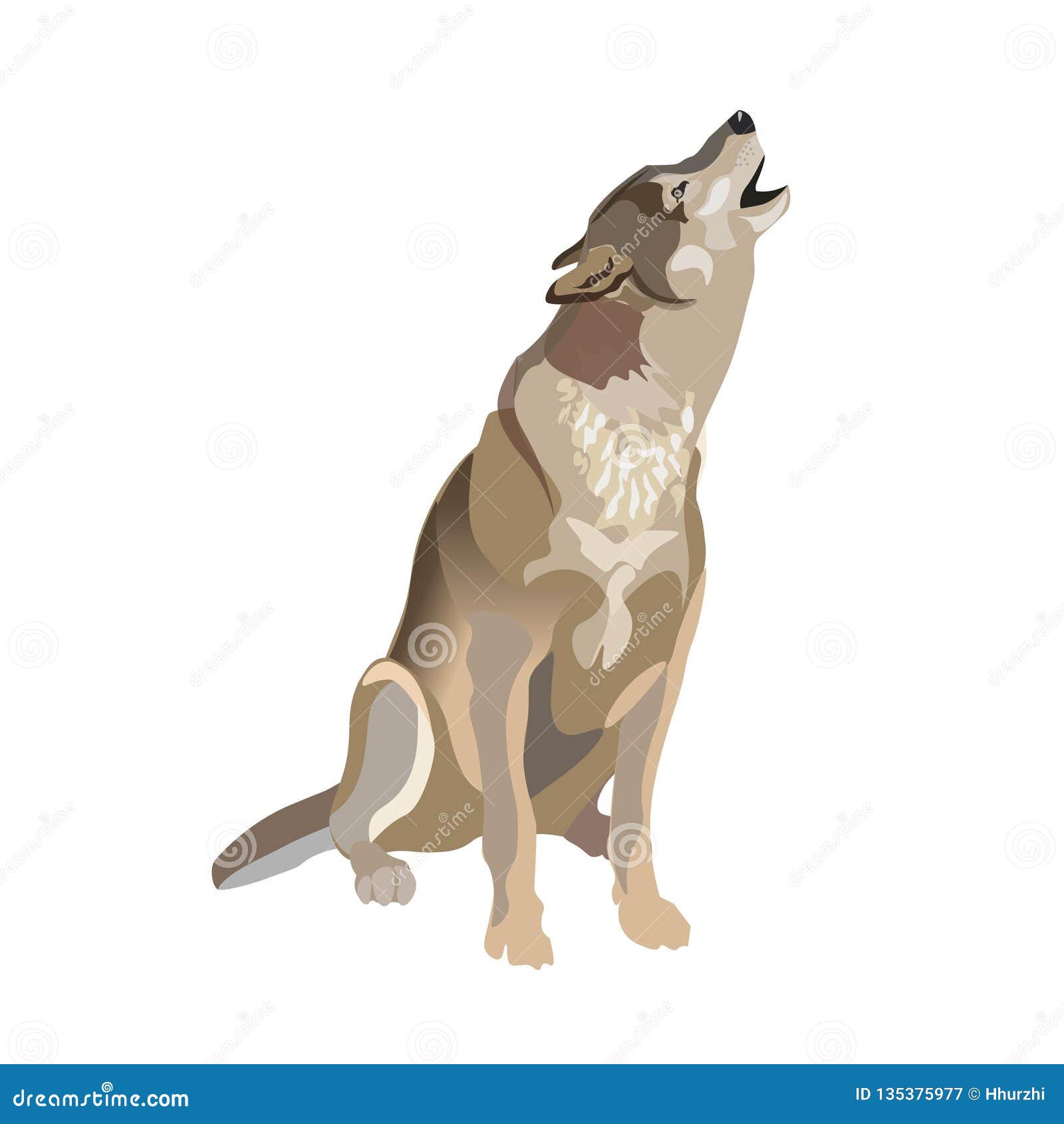 Howling gray wolf stock vector. Illustration of muzzle - 135375977