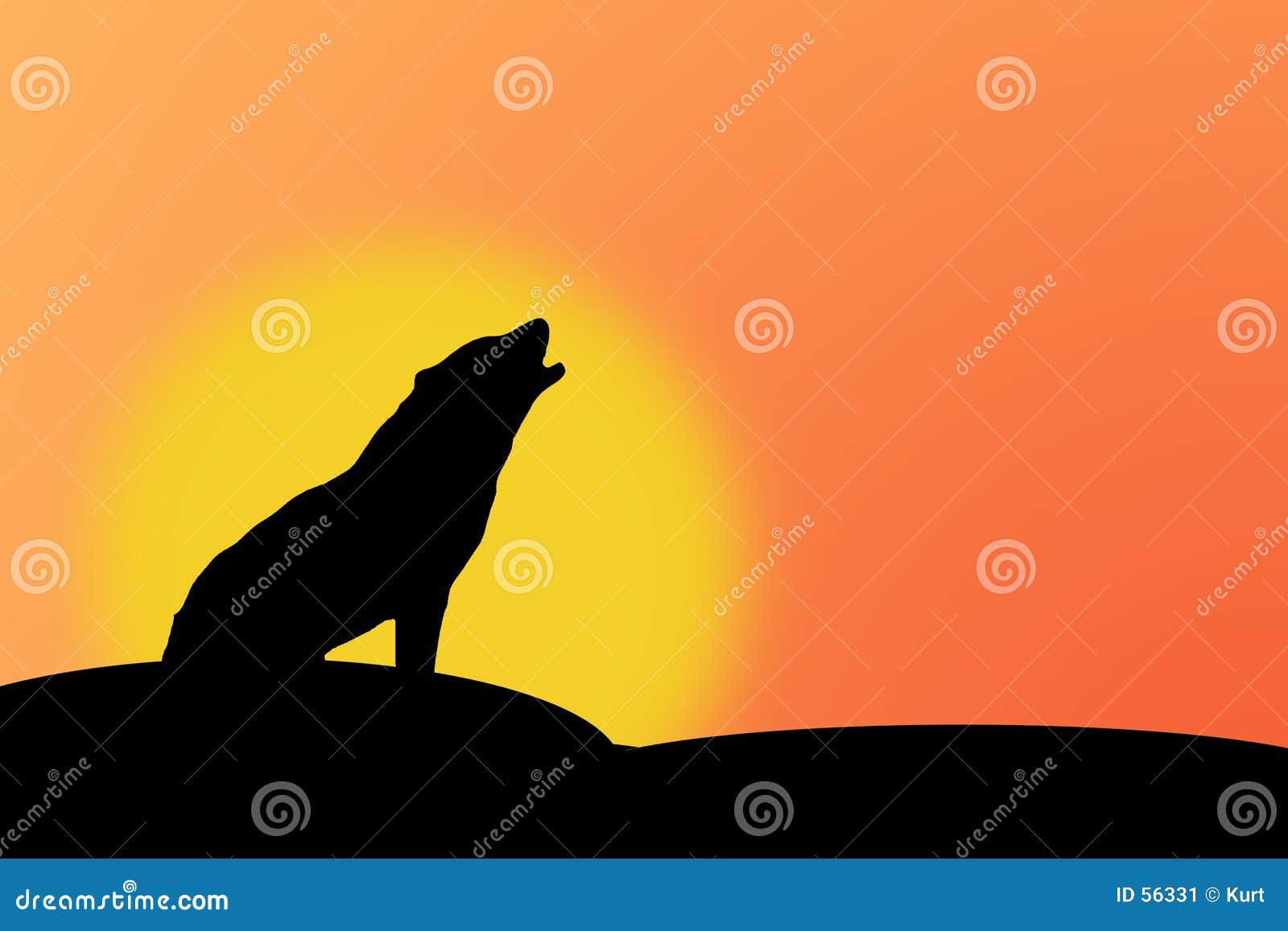 Howling wolf stock illustration. Illustration of howl, sunset - 56331