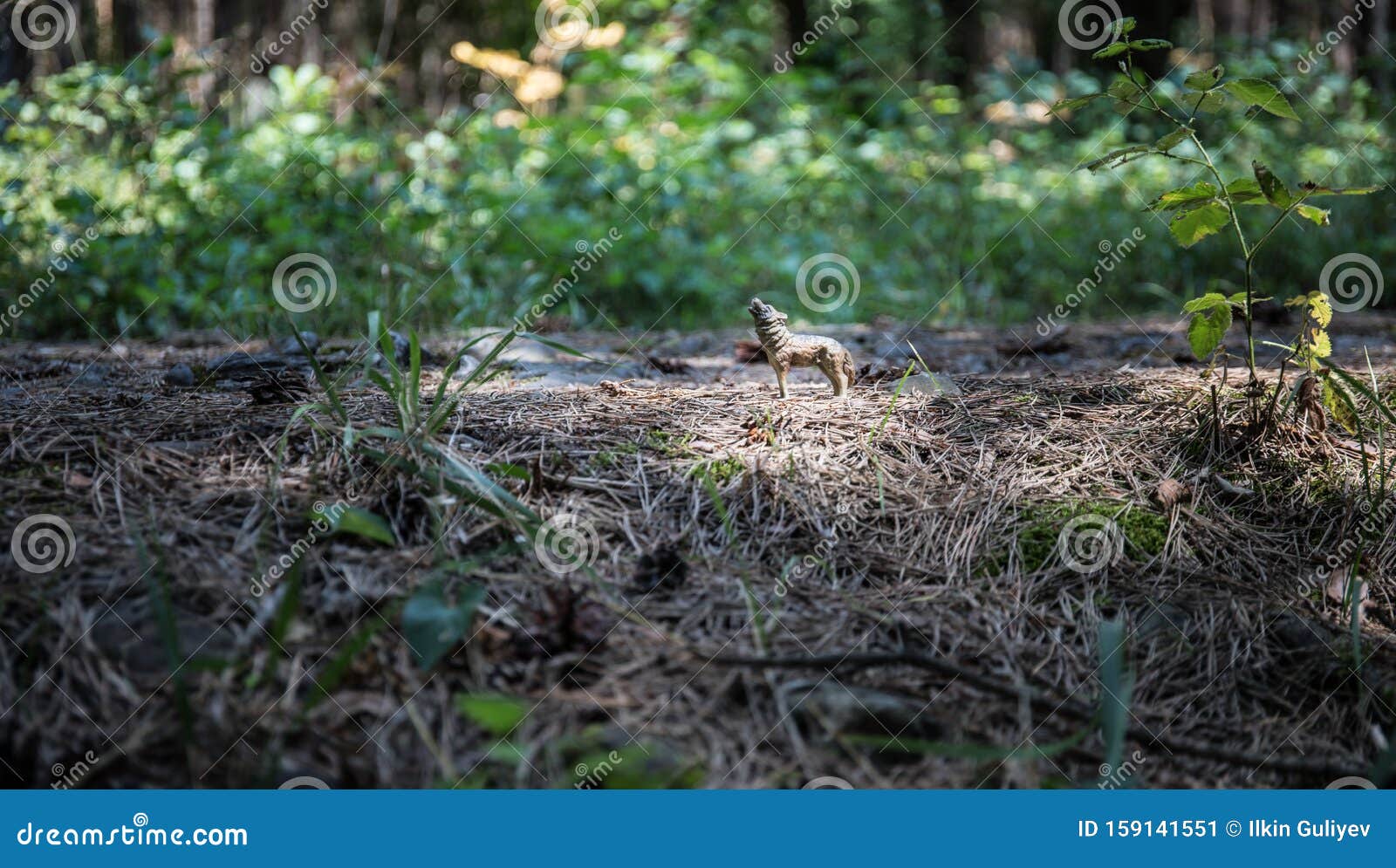 Howling Wolf in the Forest. Mini Wolf Figure Standing on the Forest ...