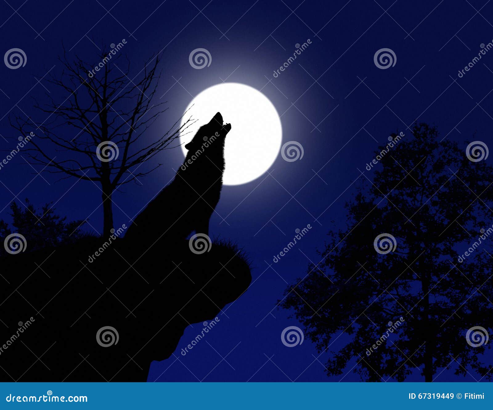 Howling wolf stock illustration. Illustration of astronomy - 67319449