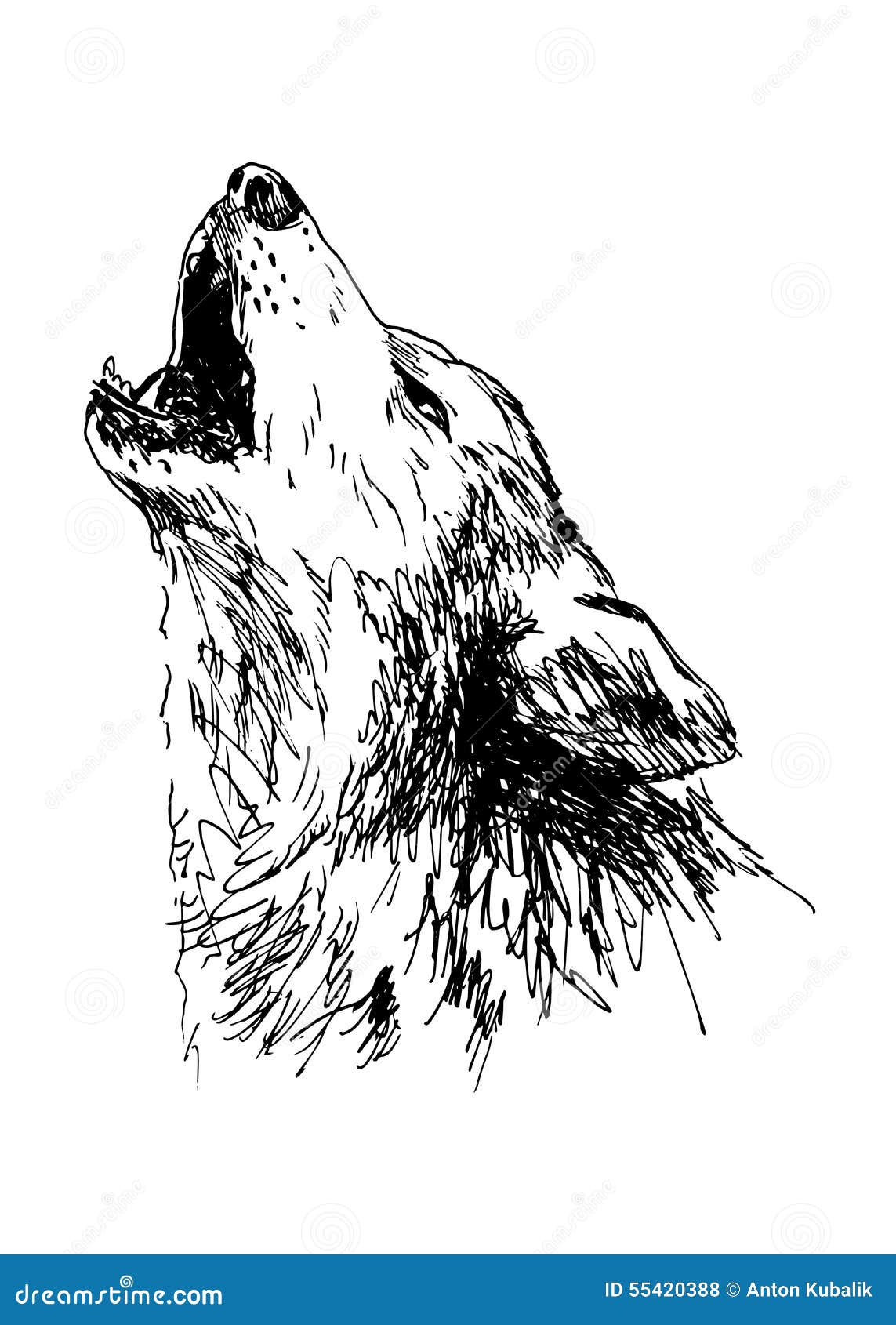 Werewolf Howling Drawing