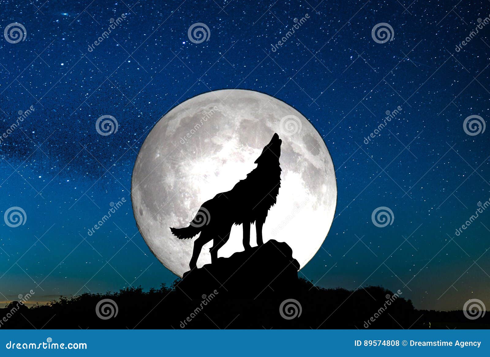 Howling wolf stock photo. Image of monochrome, silhouetted - 89574808