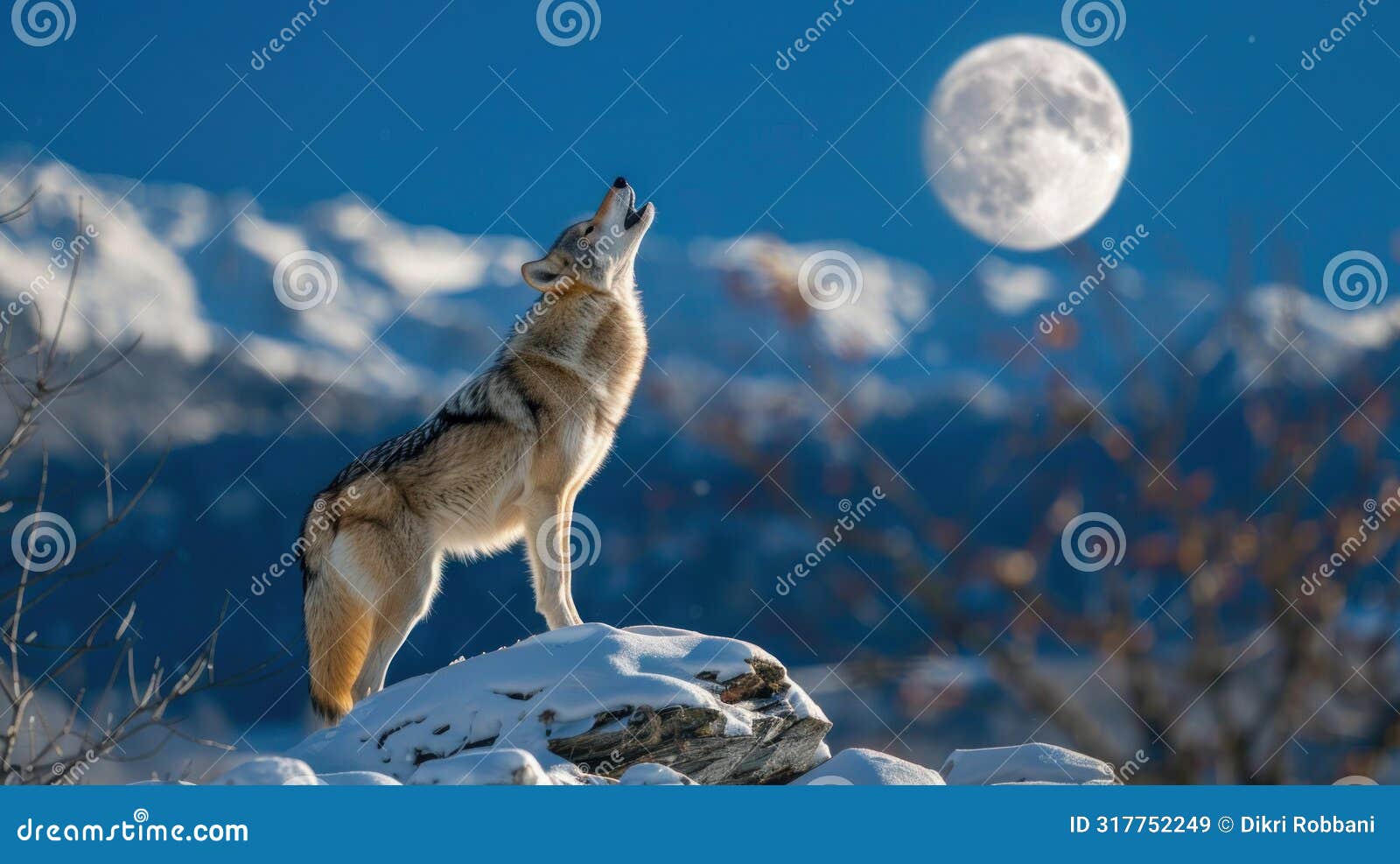 Howling Wolf on Top of the Mountain. a Wolf Howl Stock Illustration ...