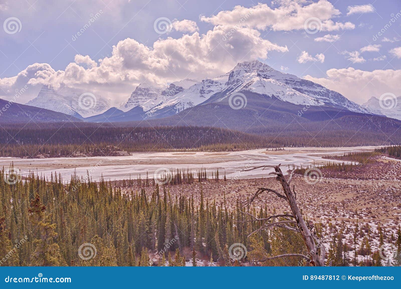 Howse Pass stock photo. Image of canada, scenic, capped - 89487812