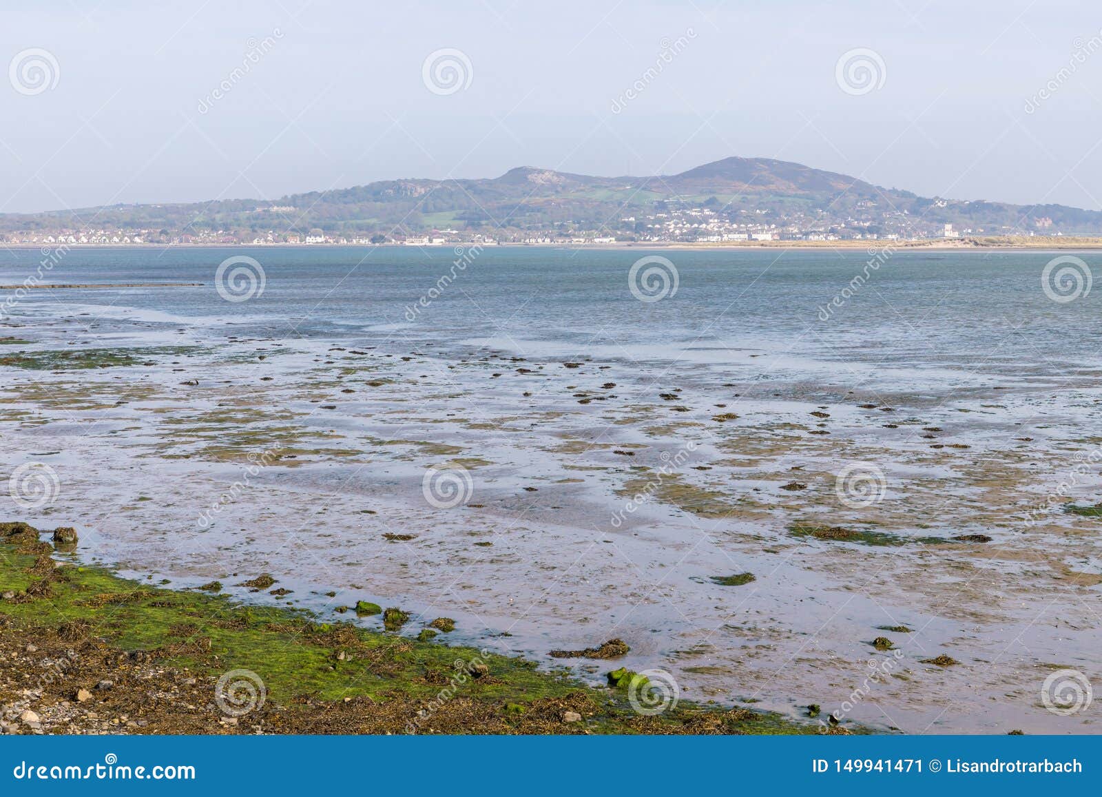 Howth and Bull Island Reserve Stock Image - Image of howth, houses ...