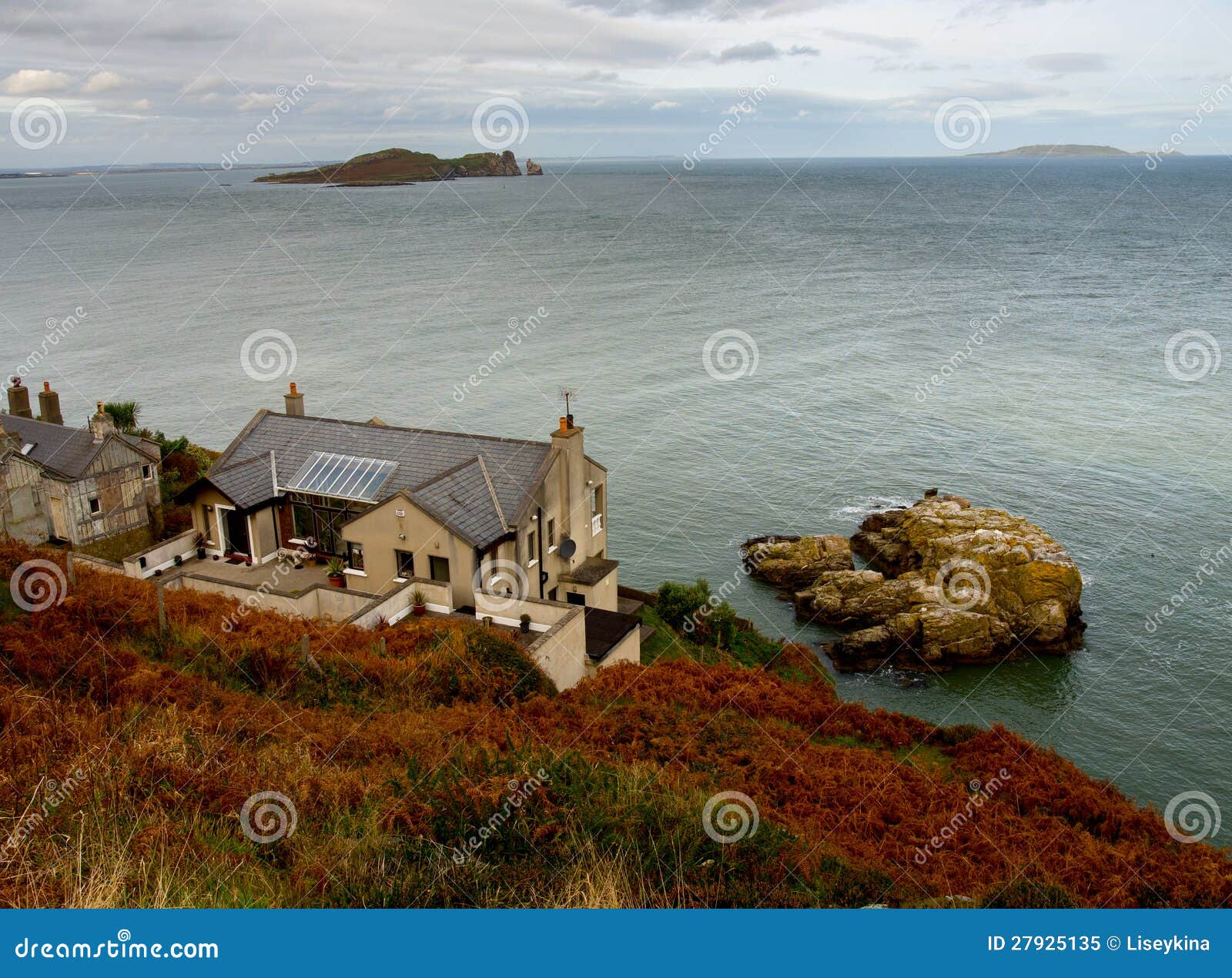 Howth Cliffs. Ireland. stock image. Image of head, flowers - 27925135