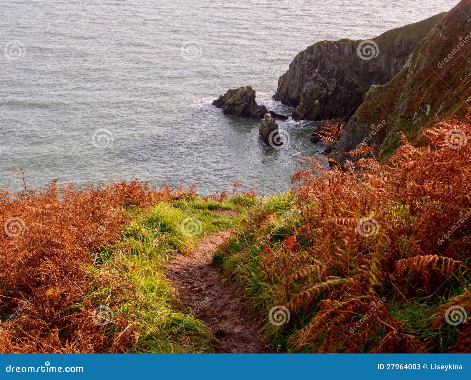Howth Cliffs. Ireland. stock image. Image of outdoors - 27964003