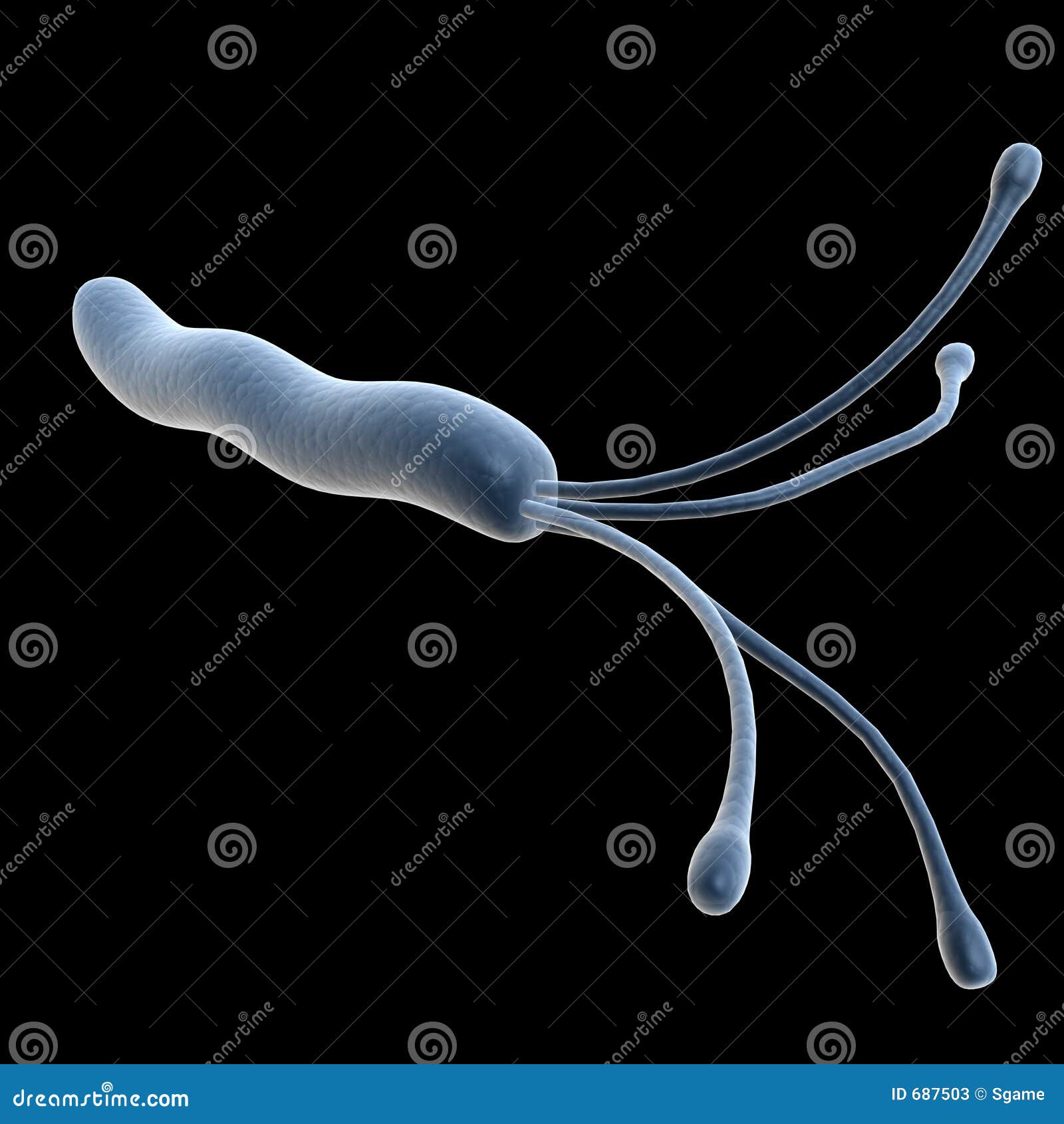 HP becteria stock illustration. Illustration of science - 687503