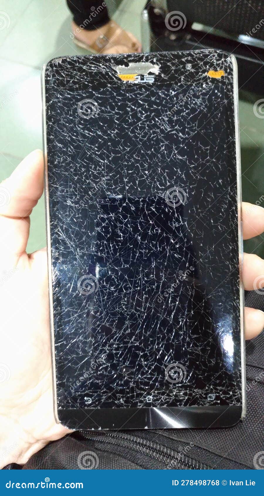 Fully Cracked And Open Wrinkled Dark Brown Walnut Husk With Fully ...