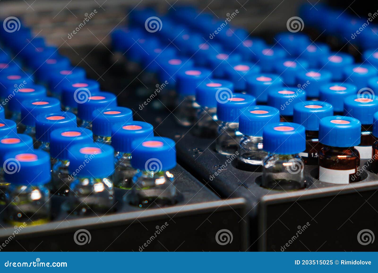 HPLC Glass Vials In The Rack. Research And Development Of ...