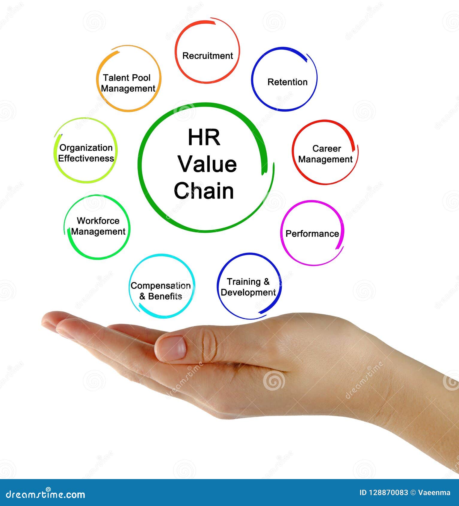 HR Analytic Value Chain stock image. Image of management - 128870083