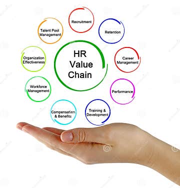 HR Analytic Value Chain stock image. Image of management - 128870083