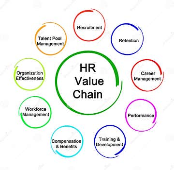 HR Analytic Value Chain stock illustration. Illustration of 1150 ...