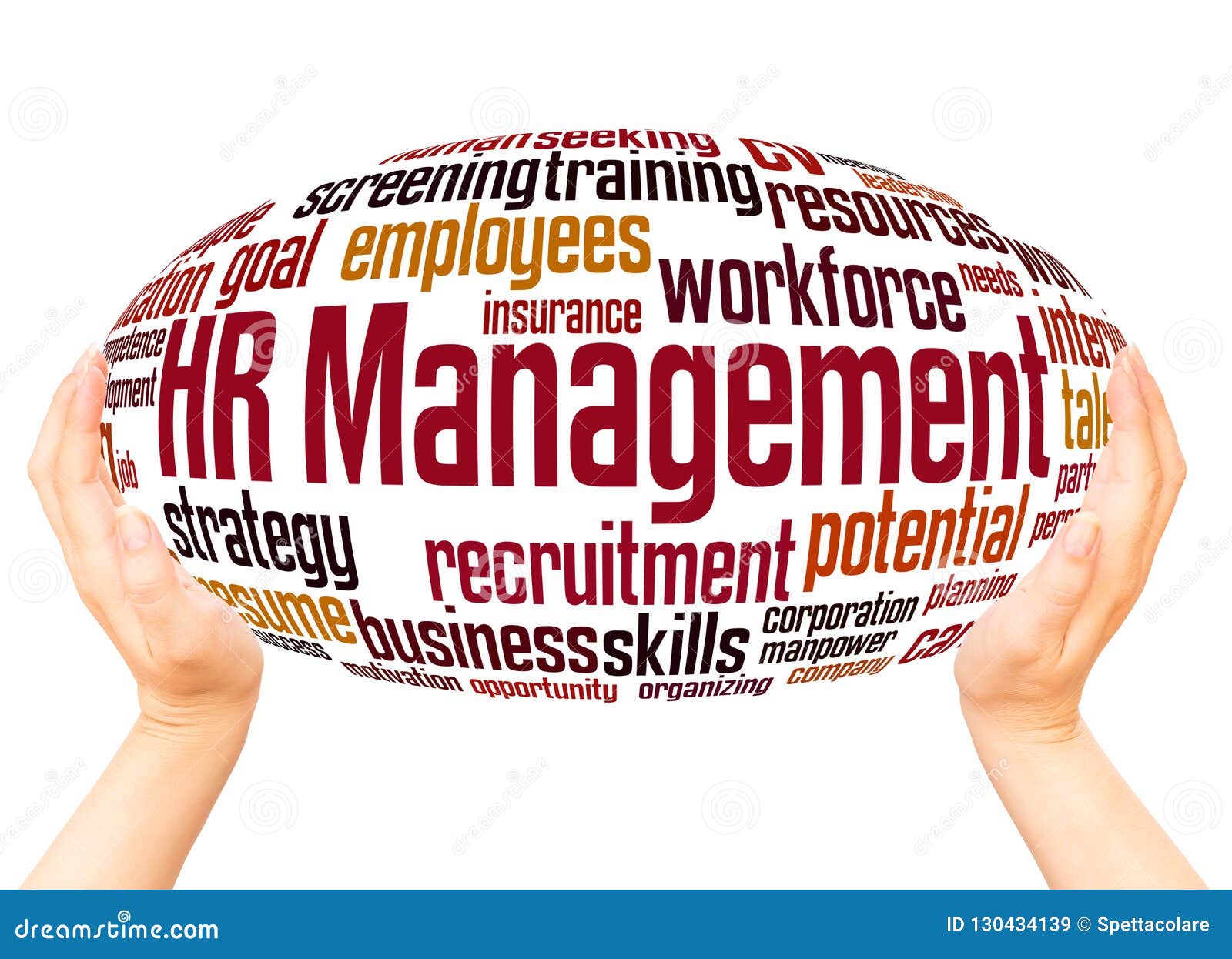 HR Management Word Cloud Hand Sphere Concept Stock Illustration ...