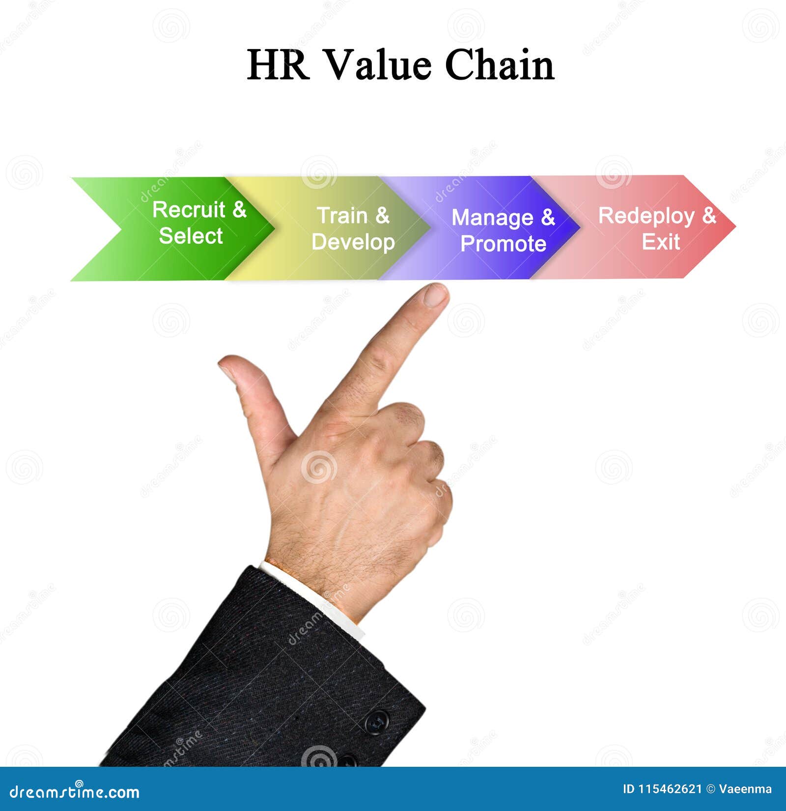 HR Value Chain stock image. Image of male, person, promote - 115462621