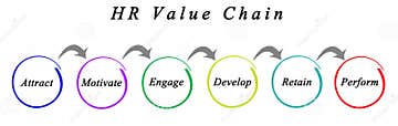 HR Value Chain stock illustration. Illustration of salary - 94370353