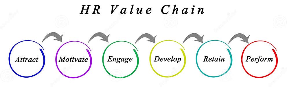 HR Value Chain stock illustration. Illustration of salary - 94370353