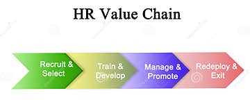 HR Value Chain stock illustration. Illustration of components - 113368493