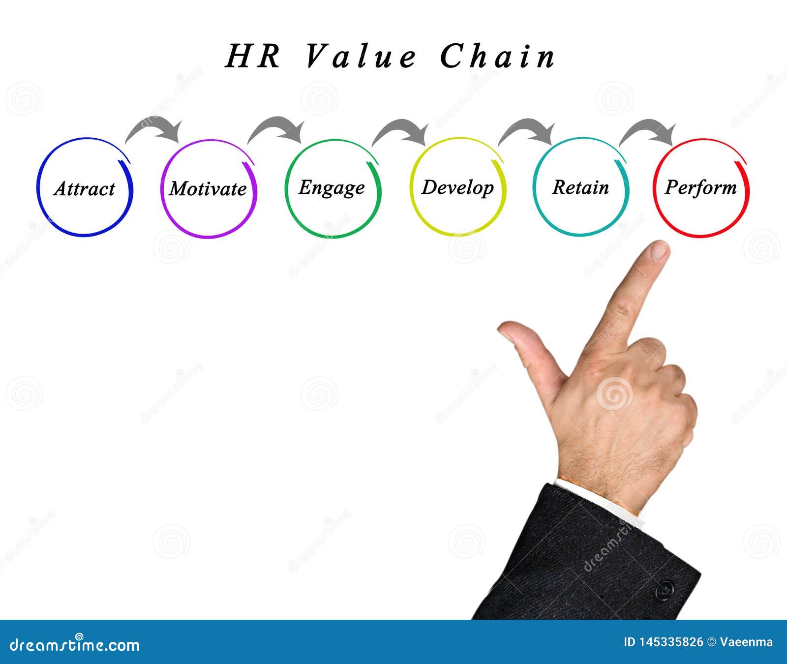 HR Value Chain stock photo. Image of management, concept - 145335826